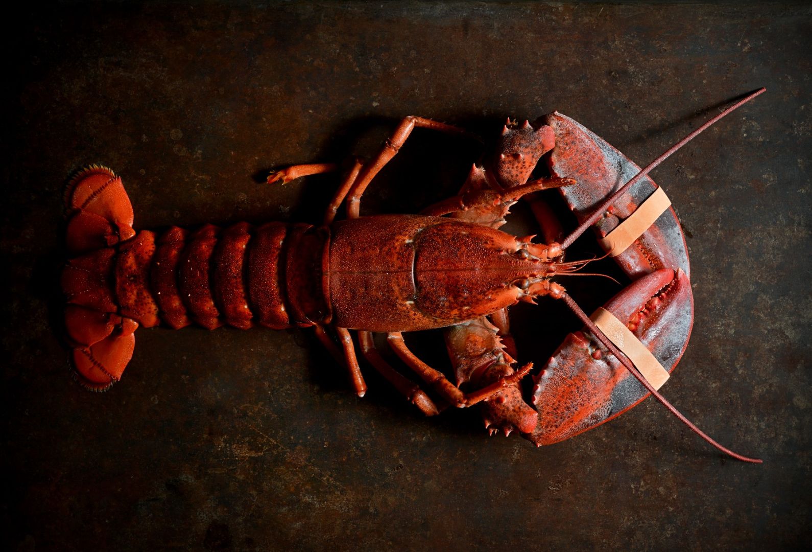 LE HOMARD EN FÊTE - Cours Cuisine Paul Bocuse